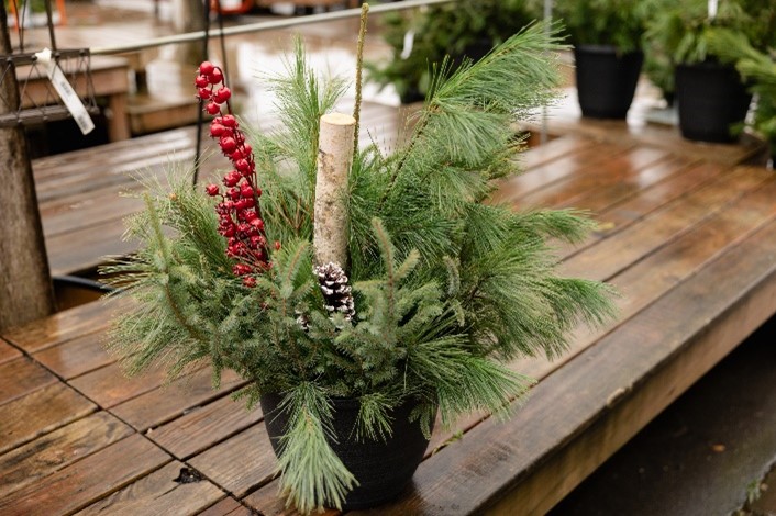 Holiday Spruce Top Planters: A Natural Welcome